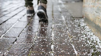 3 Ways Using Only Rock Salt is Killing Your Business